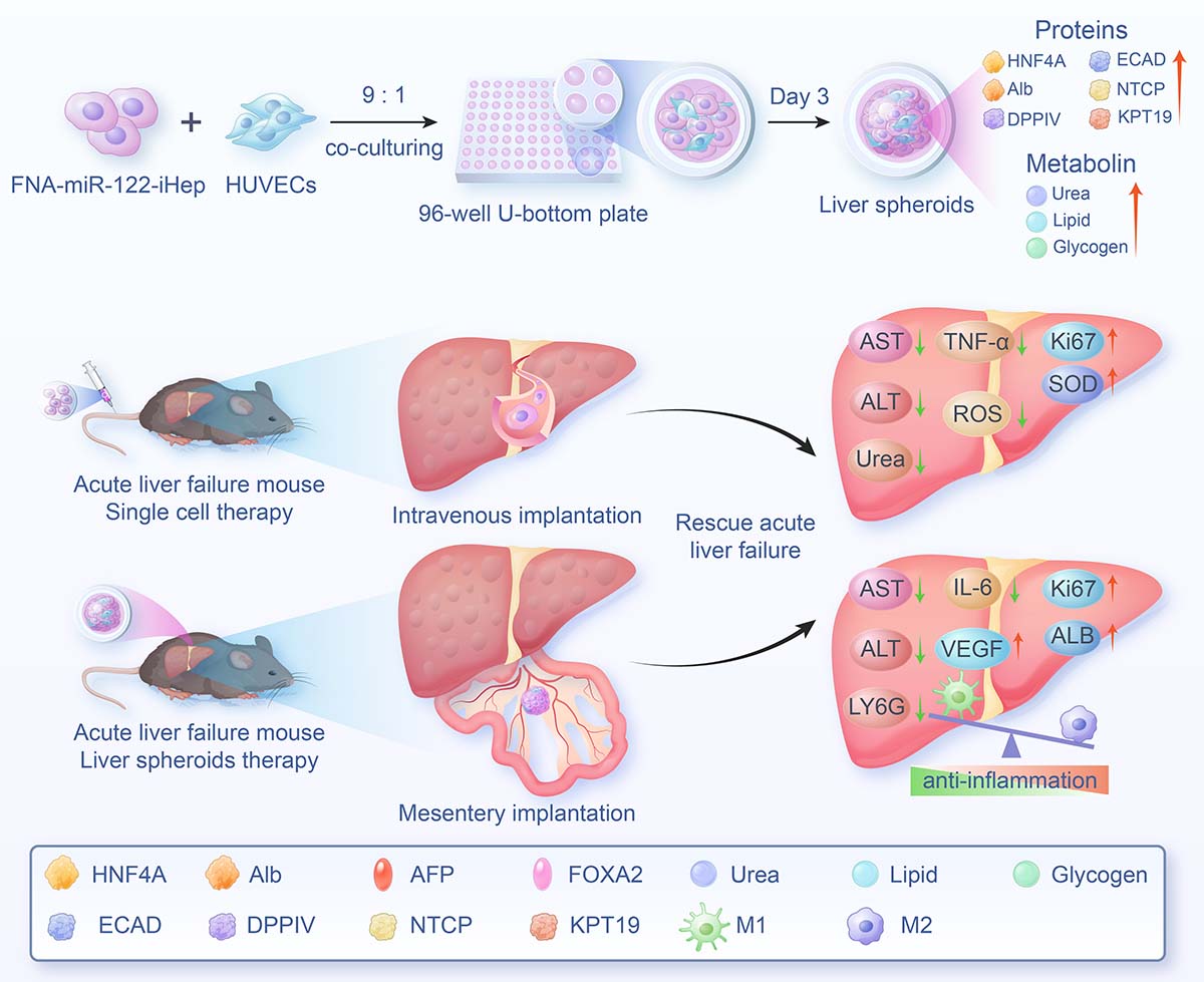 期刊论文 > 2023年