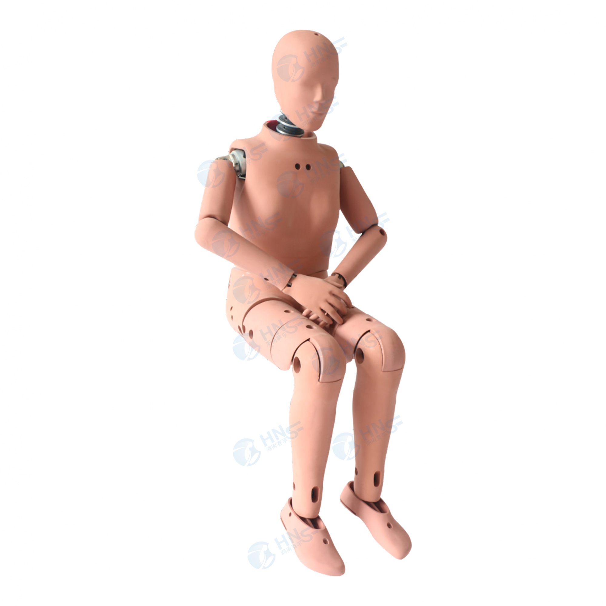 湖南赛孚-Hybrid III Series Dummies-Hybrid Ⅲ 5th Female Dummy