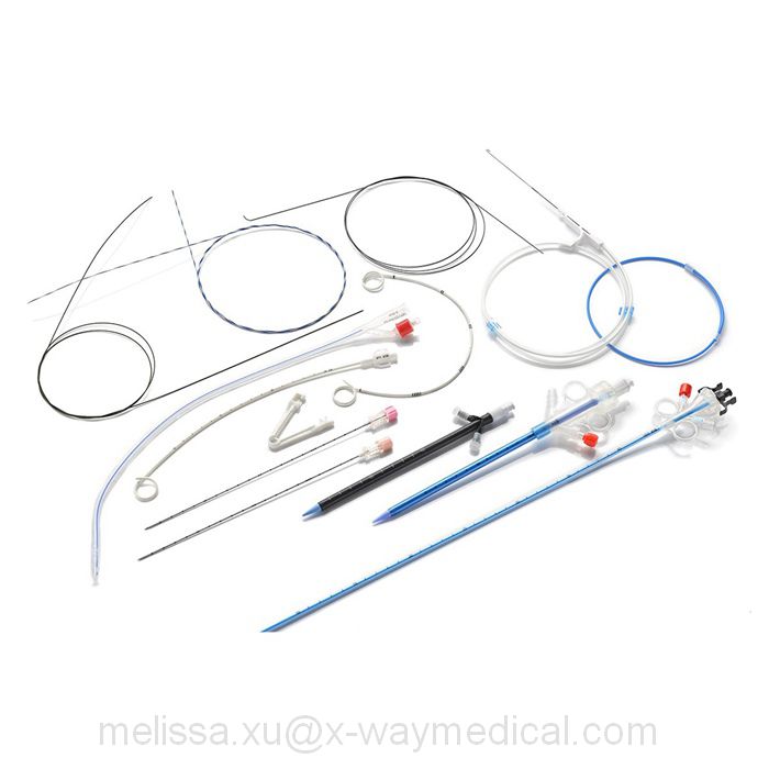Nephrolith Percutaneous puncture dilation and expansion catheter ...