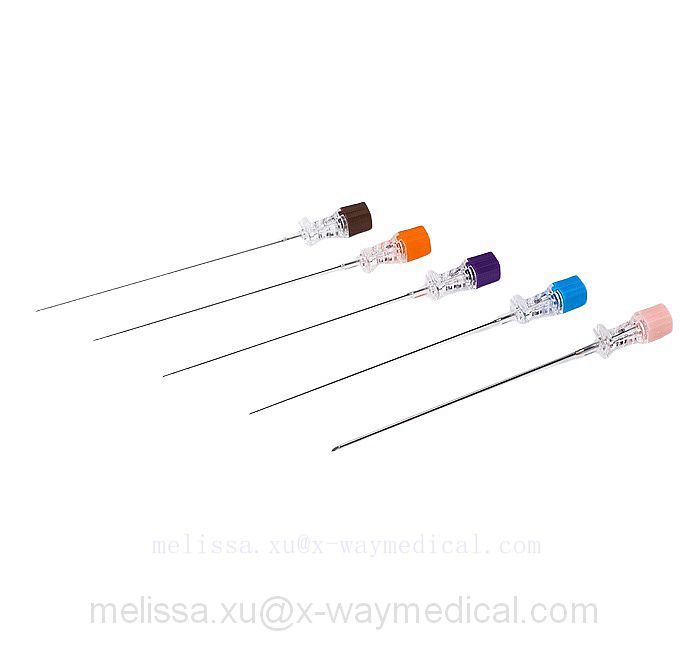 Anaesthesia Spinal needle tip with pencil point and 20G introducer ...
