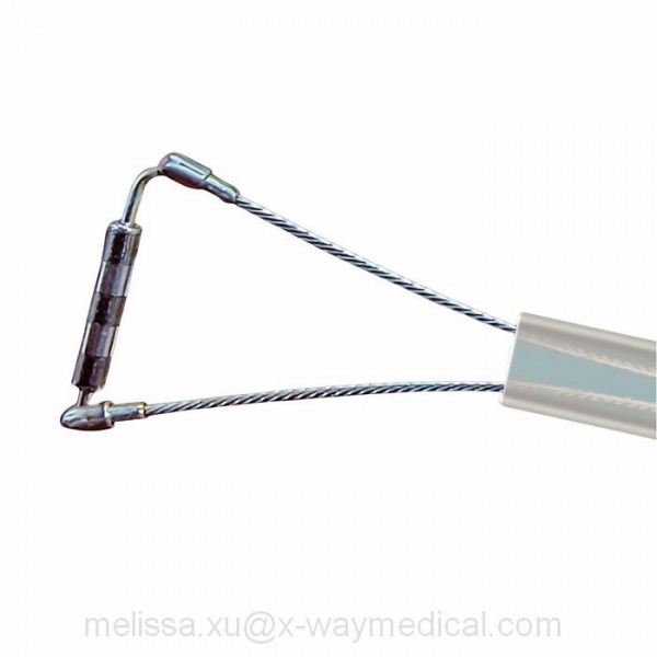 Disposable Endoscopic digestive tract measuring ruler, Endoscopy ...