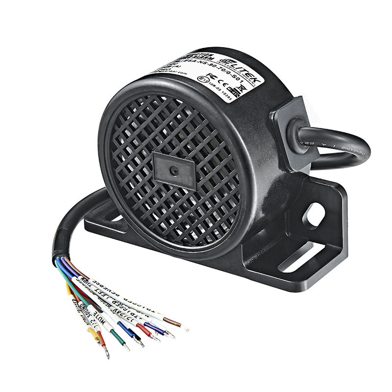 Multi-Function Speaking Alarm