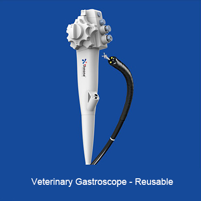 Veterinary Gastroscope